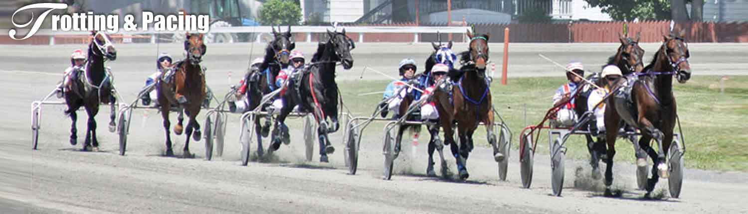 Race Entries – Goshen Historic Track